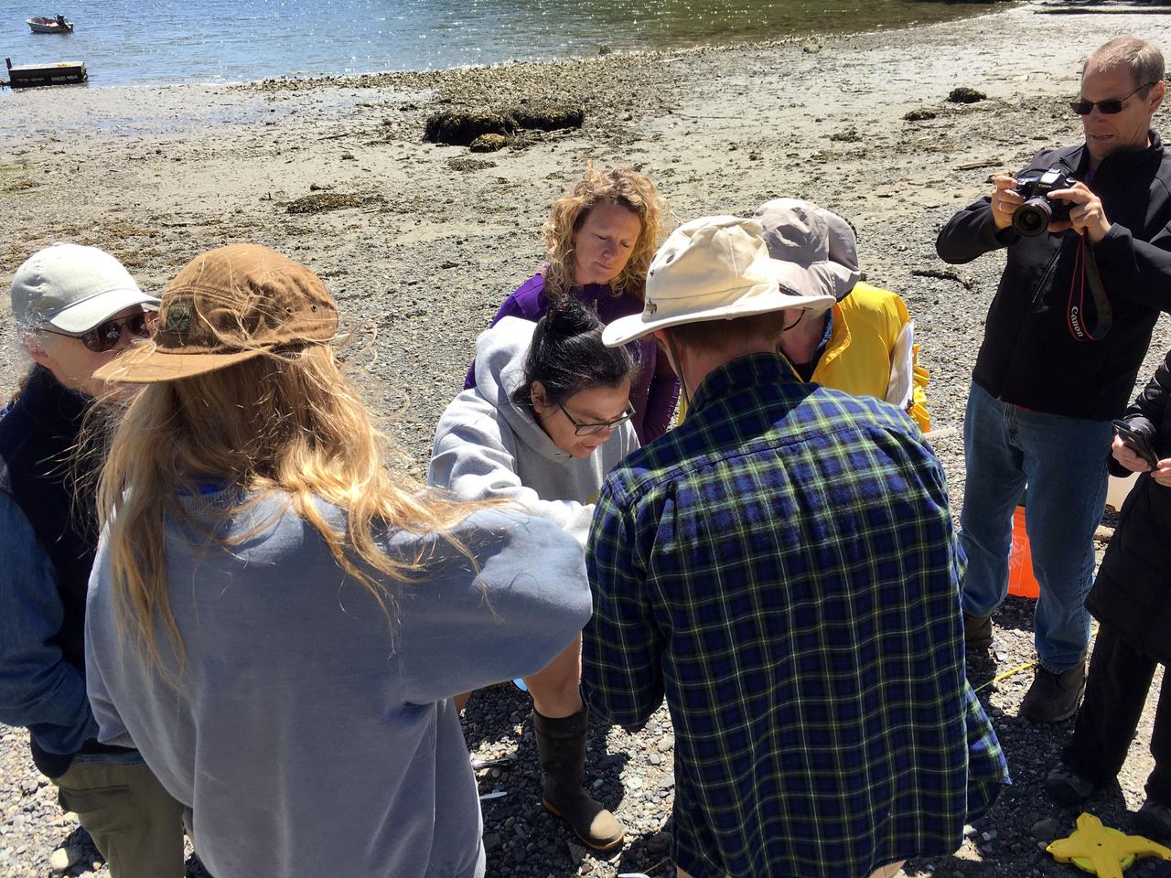Forage Fish Spawning Habitat Monitoring Program – Gabriola Island ...